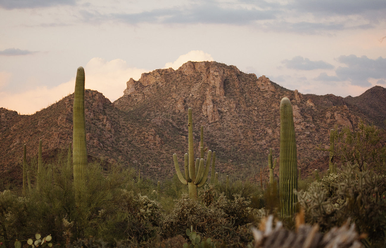 Clay French linen goes to Arizona – I Love Linen