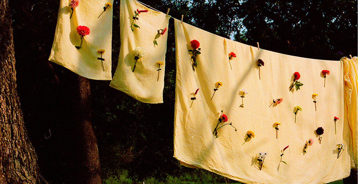 Daisy French Linen | Styled by Jill Burrow – I Love Linen